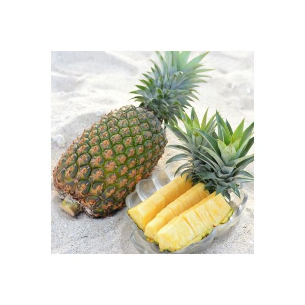 ■お礼品詳細　・配送種別：冷蔵便　・提供元：サンライズひがし■お申し込み・配送・その他　・発送時期：2026-06-25〜2026-08-05(お届け時間帯指定可)　・申込受付期間：2025-09-10〜2026-07-15　・配達外のエリ...