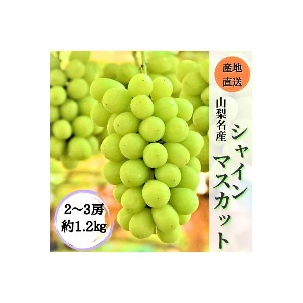 ■お礼品詳細　・配送種別：冷蔵便　・提供元：ＬｉＮＫＳ■お申し込み・配送・その他　・発送時期：2026-08-16〜2026-10-16(お届け時間帯指定可)　・申込受付期間：〜2026-09-30　・配達外のエリア：離島、沖縄県　・寄付証...