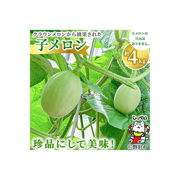 ■お礼品詳細　・配送種別：通常　・提供元：株式会社メロー静岡（磐田市）■お申し込み・配送・その他　・発送時期：2023-07-26〜(お届け時間帯指定可)　・申込受付期間：通年　・配達外のエリア：　・寄付証明書の送付時期目安：申込完了日から...