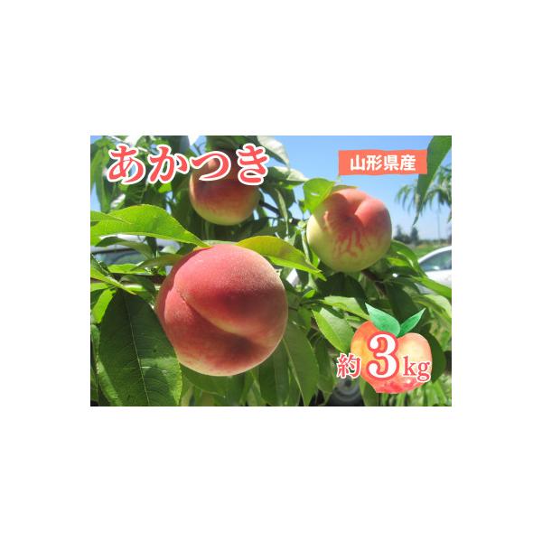 ■お礼品詳細　・配送種別：通常　・提供元：株式会社金子農園■お申し込み・配送・その他　・発送時期：2026/07/30〜2026/08/30(お届け時間帯指定可)　・申込受付期間：〜2026-07-20　・配達外のエリア：離島　・寄付証明書...