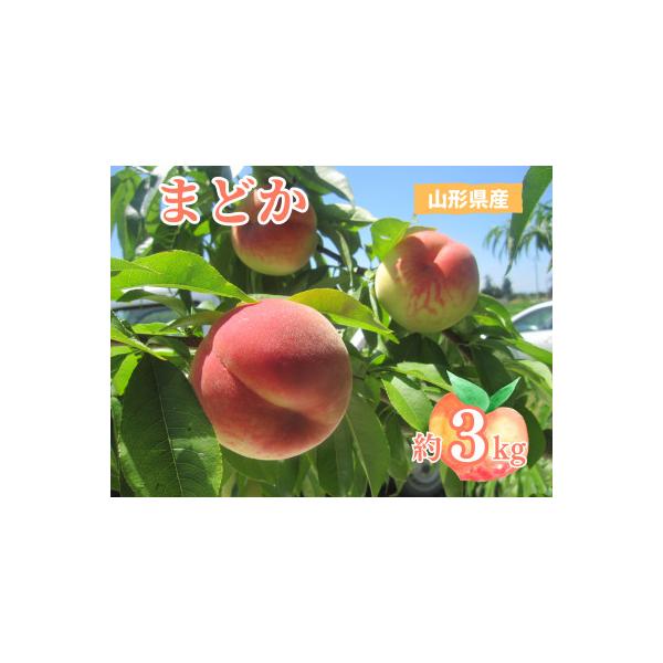 ■お礼品詳細　・配送種別：通常　・提供元：株式会社金子農園■お申し込み・配送・その他　・発送時期：2026/07/30〜2026/08/30(お届け時間帯指定可)　・申込受付期間：〜2026-07-20　・配達外のエリア：離島　・寄付証明書...