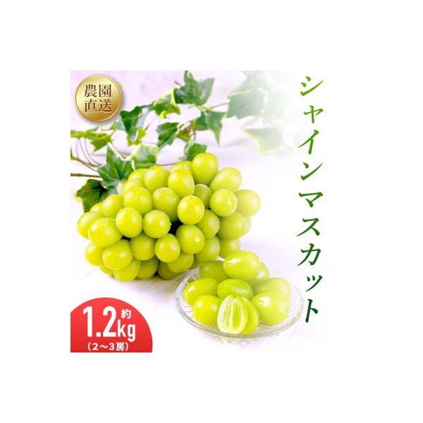 ■お礼品詳細　・配送種別：冷蔵便　・提供元：ちくご葡萄園■お申し込み・配送・その他　・発送時期：2026-08-01〜2026-09-20(お届け時間帯指定可)　・申込受付期間：〜2026-09-10　・配達外のエリア：離島　・寄付証明書の...