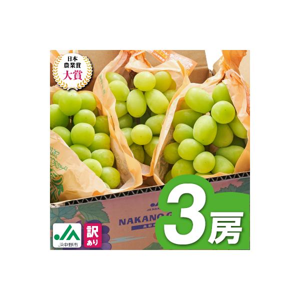 ■お礼品詳細　・配送種別：冷蔵便　・提供元：ＪＡ中野市　営農部　販売開発課■お申し込み・配送・その他　・発送時期：2026-09-16〜2026-11-30(お届け時間帯指定可)　・申込受付期間：2025-10-02〜2026-09-30　...