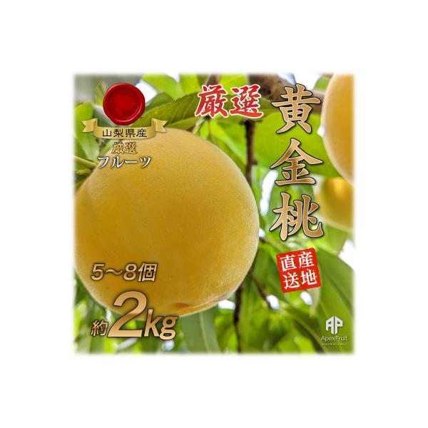 ■お礼品詳細　・配送種別：冷蔵便　・提供元：アペックスフルーツ株式会社（ＳＴ）■お申し込み・配送・その他　・発送時期：2026-07-15〜2026-09-10(お届け時間帯指定可)　・申込受付期間：〜2025-12-31　・配達外のエリア...