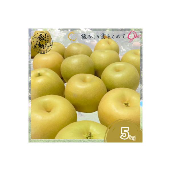 ■お礼品詳細　・配送種別：冷蔵便　・提供元：梨桃工房■お申し込み・配送・その他　・発送時期：2026-08-17〜2026-10-10(お届け時間帯指定可)　・申込受付期間：〜2026-09-30　・配達外のエリア：離島　・寄付証明書の送付...