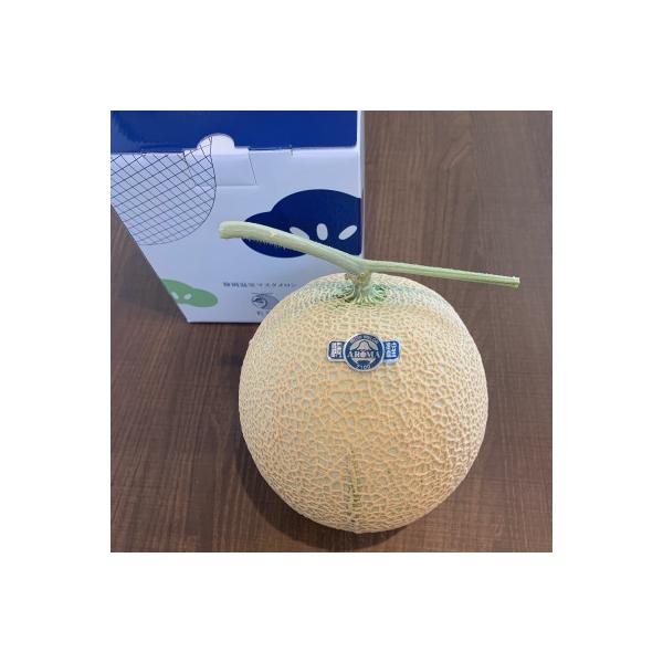 ■お礼品詳細　・配送種別：通常　・提供元：メロンの松香園■お申し込み・配送・その他　・発送時期：2026-01-08より順次発送 ※生産・天候・交通等の事情により遅れる場合があります。(お届け時間帯指定可)　・申込受付期間：通年　・配達外の...