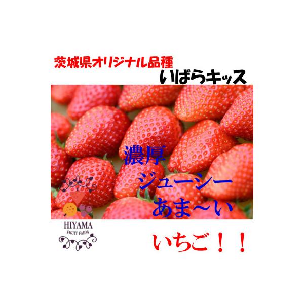 ■お礼品詳細　・配送種別：冷蔵便　・提供元：檜山いちご園■お申し込み・配送・その他　・発送時期：2026-01-04〜2026-04-13(お届け時間帯指定可)　・申込受付期間：2025-12-03〜2026-03-31　・配達外のエリア：...