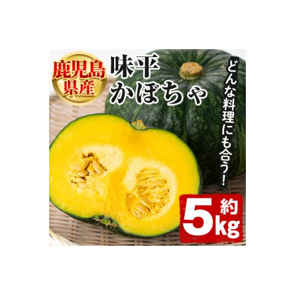 ■お礼品詳細　・配送種別：通常　・提供元：松永青果■お申し込み・配送・その他　・発送時期：2026-05-10〜2026-06-20(お届け時間帯指定可)　・申込受付期間：〜2026-06-14　・配達外のエリア：　・寄付証明書の送付時期目...