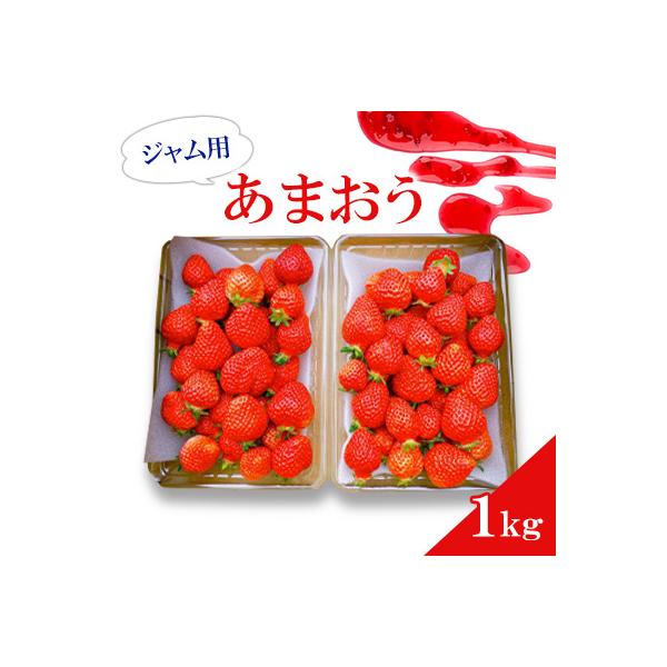 ■お礼品詳細　・配送種別：冷蔵便　・提供元：池上農園■お申し込み・配送・その他　・発送時期：2026-03-01〜2026-05-20(お届け時間帯指定可)　・申込受付期間：〜2026-05-10　・配達外のエリア：離島、北海道、沖縄県、東...