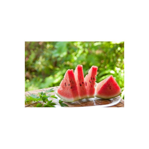 ■お礼品詳細　・配送種別：通常　・提供元：株式会社エナジーファーム■お申し込み・配送・その他　・発送時期：2026-07-09〜2026-08-31(お届け時間帯指定可)　・申込受付期間：〜2026-08-04　・配達外のエリア：　・寄付証...