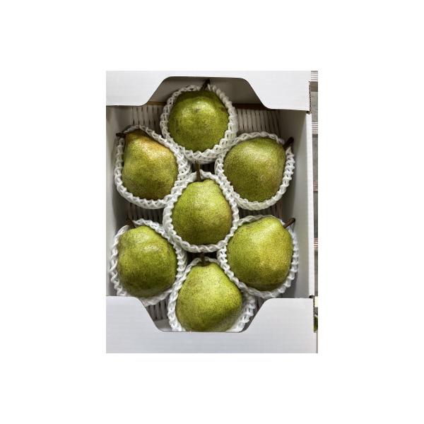 ■お礼品詳細　・配送種別：通常　・提供元：株式会社　芳賀青果■お申し込み・配送・その他　・発送時期：2026-10-30〜2026-12-25(お届け時間帯指定可)　・申込受付期間：〜2026-12-05　・配達外のエリア：　・寄付証明書の...