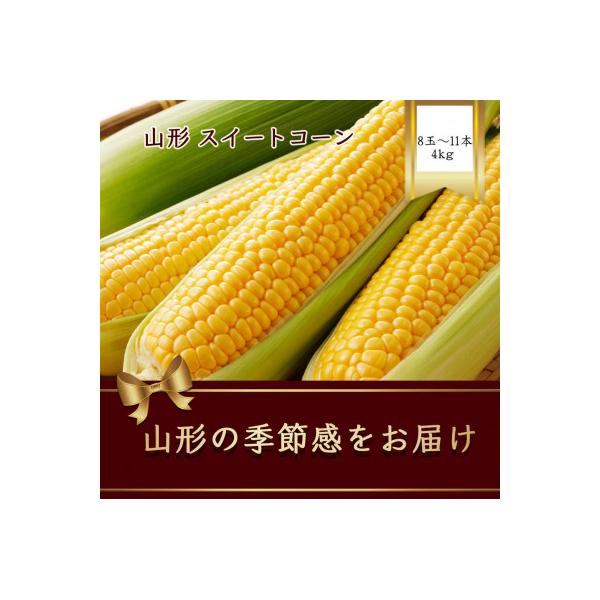 ■お礼品詳細　・配送種別：冷蔵便　・提供元：株式会社　浜中屋■お申し込み・配送・その他　・発送時期：2026-08-01〜2026-09-30　・申込受付期間：〜2026-08-01　・配達外のエリア：離島　・寄付証明書の送付時期目安：申込...