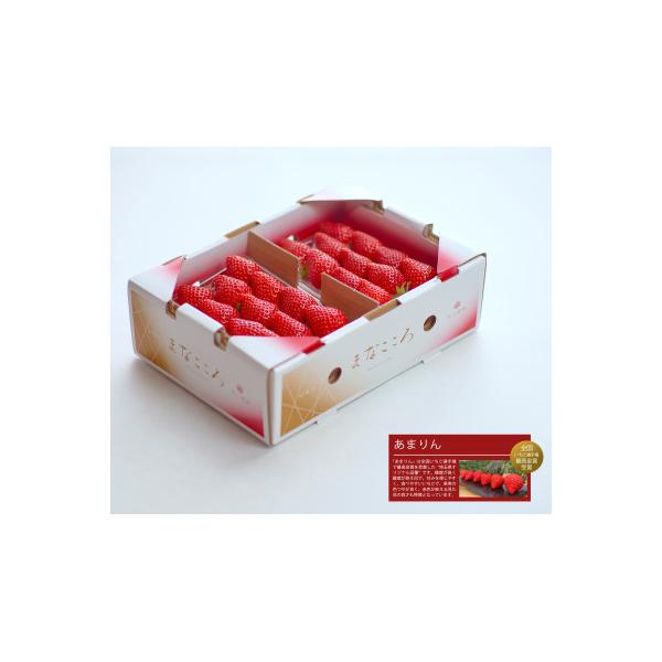 ■お礼品詳細　・配送種別：冷蔵便　・提供元：真心農園■お申し込み・配送・その他　・発送時期：2026-01-01〜2026-06-30　※年末年始は発送までにお時間をいただく場合がございます(お届け時間帯指定可)　・申込受付期間：〜2025...