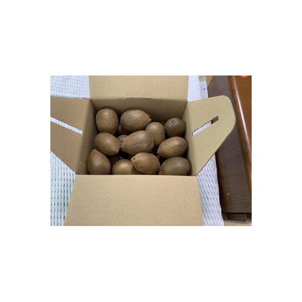 ■お礼品詳細　・配送種別：通常　・提供元：梨・ぶどう・キウイ生産直売　寿園■お申し込み・配送・その他　・発送時期：2025-10-20〜2026-01-19　※年末年始は発送までにお時間をいただく場合がございます(お届け時間帯指定可)　・申...