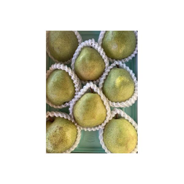 ■お礼品詳細　・配送種別：通常　・提供元：やまもりやまがた■お申し込み・配送・その他　・発送時期：2026-11-10〜2026-12-10(お届け時間帯指定可)　・申込受付期間：〜2026-11-01　・配達外のエリア：　・寄付証明書の送...