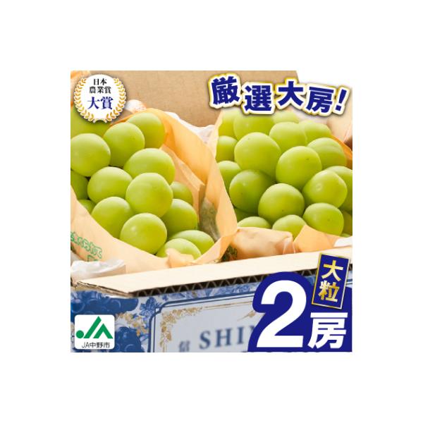 ■お礼品詳細　・配送種別：冷蔵便　・提供元：ＪＡ中野市営農部販売開発課（ヤマト）■お申し込み・配送・その他　・発送時期：2026-09-07〜2026-10-31(お届け時間帯指定可)　・申込受付期間：〜2026-09-30　・配達外のエリ...