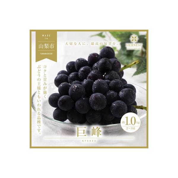 ■お礼品詳細　・配送種別：冷蔵便　・提供元：ハーネスト（ＳＴ）■お申し込み・配送・その他　・発送時期：2026-07-20〜2026-09-30(お届け時間帯指定可)　・申込受付期間：〜2026-08-10　・配達外のエリア：離島　・寄付証...