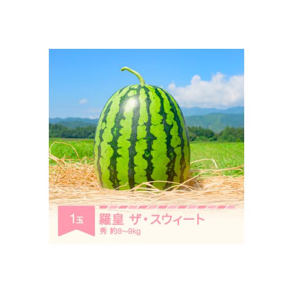 ■お礼品詳細　・配送種別：通常　・提供元：(一社）村山市観光物産協会■お申し込み・配送・その他　・発送時期：2026-07-20〜2026-08-12(お届け時間帯指定可)　・申込受付期間：2025-09-29〜2026-02-28　・配達...