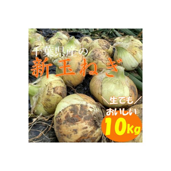 ■お礼品詳細　・配送種別：通常　・提供元：斉藤畜産■お申し込み・配送・その他　・発送時期：2026-05-02〜2026-05-31(お届け時間帯指定可)　・申込受付期間：2025-07-03〜2026-05-24　・配達外のエリア：離島、...