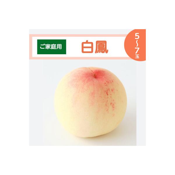 ■お礼品詳細　・配送種別：冷蔵便　・提供元：杉原造桃園■お申し込み・配送・その他　・発送時期：2026-06-30〜2026-07-19(お届け時間帯指定可)　・申込受付期間：〜2026-06-30　・配達外のエリア：離島　・寄付証明書の送...