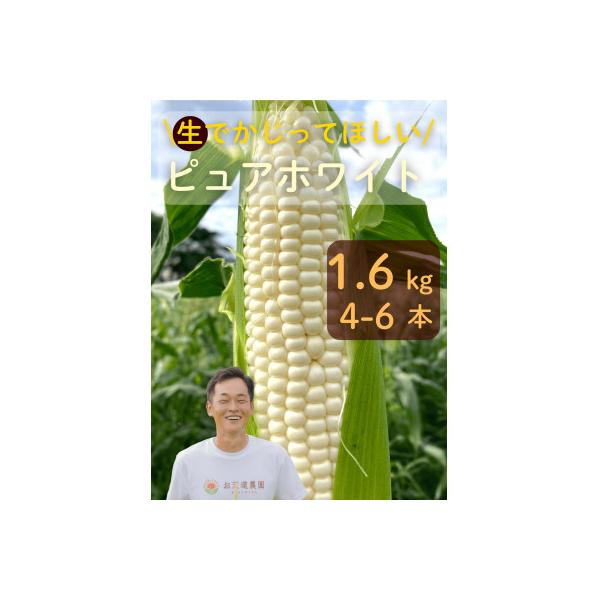 ■お礼品詳細　・配送種別：冷蔵便　・提供元：お天道農園■お申し込み・配送・その他　・発送時期：2026-07-15〜2026-08-31(お届け時間帯指定可)　・申込受付期間：〜2026-07-18　・配達外のエリア：離島、沖縄県　・寄付証...