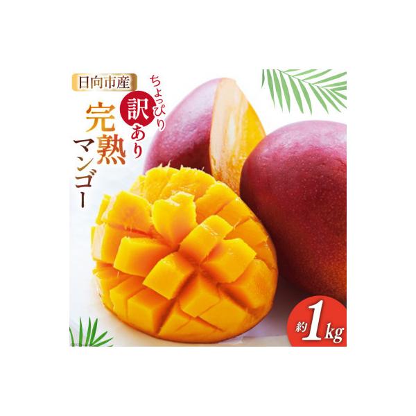 ■お礼品詳細　・配送種別：冷蔵便　・提供元：宮崎県農業協同組合日向地区本部■お申し込み・配送・その他　・発送時期：2026-04-16〜2026-08-15(お届け時間帯指定可)　・申込受付期間：〜2026-07-15　・配達外のエリア：離...