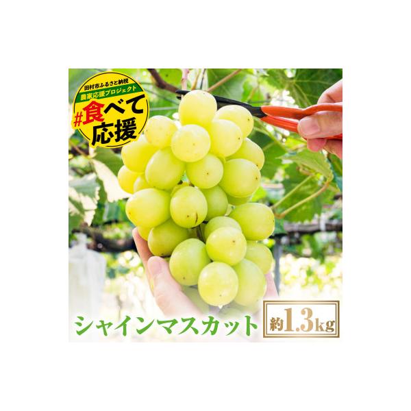 ■お礼品詳細　・配送種別：冷蔵便　・提供元：鈴木農園■お申し込み・配送・その他　・発送時期：2026-10-01〜2026-11-30(お届け時間帯指定可)　・申込受付期間：〜2026-11-22　・配達外のエリア：離島、沖縄県　・寄付証明...