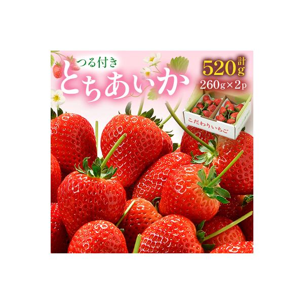 ■お礼品詳細　・配送種別：冷蔵便　・提供元：株式会社フレッシュ園渡辺■お申し込み・配送・その他　・発送時期：2026/03/01〜2026/05/31(お届け時間帯指定可)　・申込受付期間：2025-06-12〜2026-05-16　・配達...