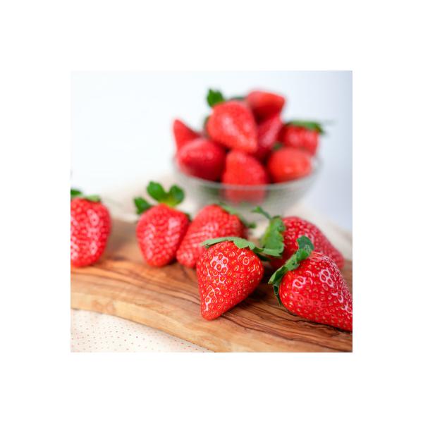 ■お礼品詳細　・配送種別：冷蔵便　・提供元：農園紀の国■お申し込み・配送・その他　・発送時期：2026-04-01〜2026-05-31(お届け時間帯指定可)　・申込受付期間：〜2026-04-20　・配達外のエリア：離島、北海道、沖縄県、...