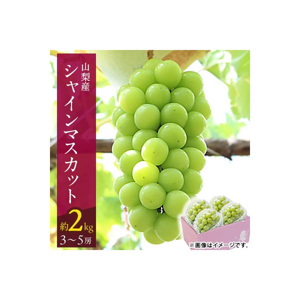 ■お礼品詳細　・配送種別：冷蔵便　・提供元：甲斐国物語■お申し込み・配送・その他　・発送時期：2026-08-17〜2026-10-20(お届け時間帯指定可)　・申込受付期間：〜2026/9/20　・配達外のエリア：離島、沖縄県　・寄付証明...