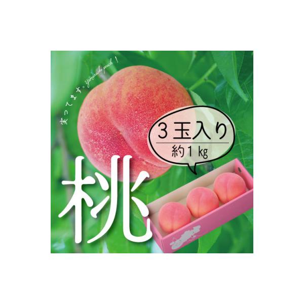 ■お礼品詳細　・配送種別：冷蔵便　・提供元：甲斐国物語■お申し込み・配送・その他　・発送時期：2026-06-24〜2026-09-15(お届け時間帯指定可)　・申込受付期間：2025-06-20〜2026-07-20　・配達外のエリア：離...