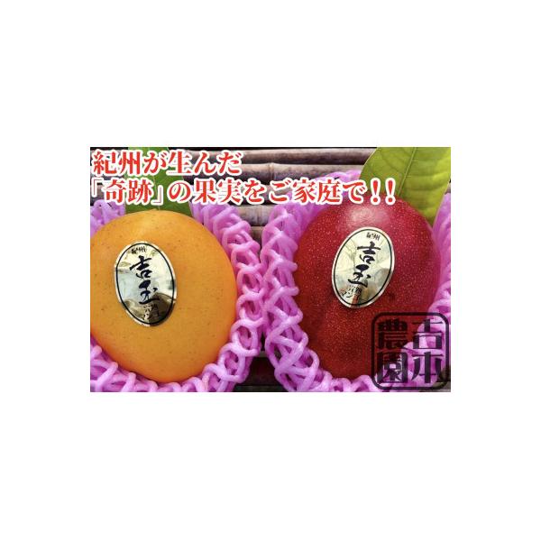 ■お礼品詳細　・配送種別：冷蔵便　・提供元：吉本農園■お申し込み・配送・その他　・発送時期：2026-07-15〜2026-09-25(お届け時間帯指定可)　・申込受付期間：2025-12-01〜2026-09-20　・配達外のエリア：離島...