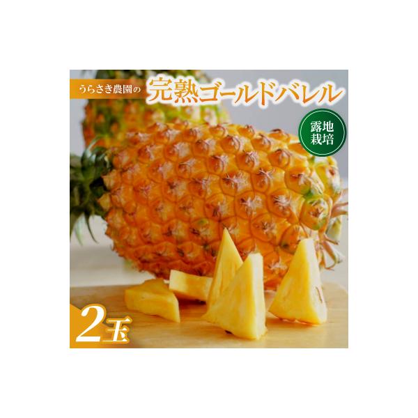 ■お礼品詳細　・配送種別：冷蔵便　・提供元：うらさき農園■お申し込み・配送・その他　・発送時期：2026-07-15〜2026-08-16(お届け時間帯指定可)　・申込受付期間：〜2026-08-10　・配達外のエリア：離島　・寄付証明書の...