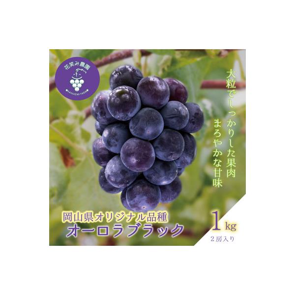 ■お礼品詳細　・配送種別：冷蔵便　・提供元：花笑み農園■お申し込み・配送・その他　・発送時期：2026-09-08〜2026-10-26(お届け時間帯指定可)　・申込受付期間：2025-12-01〜2026-10-21　・配達外のエリア：離...