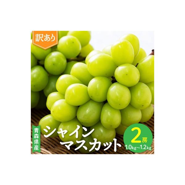 ■お礼品詳細　・配送種別：冷蔵便　・提供元：トゥルーバファーム青森株式会社■お申し込み・配送・その他　・発送時期：2026-09-10〜2026-12-25(お届け時間帯指定可)　・申込受付期間：〜2026/12/06　・配達外のエリア：離...