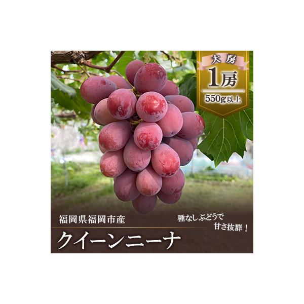 ■お礼品詳細　・配送種別：冷蔵便　・提供元：株式会社牛尾グリーンファーム■お申し込み・配送・その他　・発送時期：2026-08-01〜2026-09-20(お届け時間帯指定可)　・申込受付期間：〜2026-09-15　・配達外のエリア：離島...