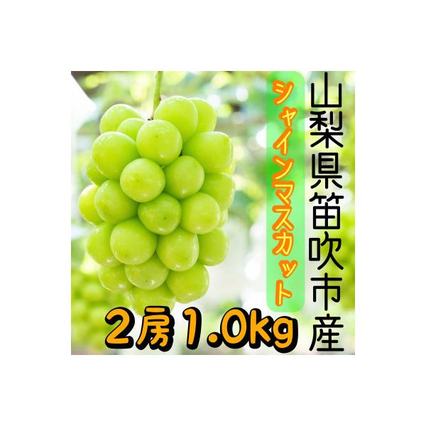 ■お礼品詳細　・配送種別：通常　・提供元：北浦ファーム■お申し込み・配送・その他　・発送時期：2026-09-01〜2026-09-30(お届け時間帯指定可)　・申込受付期間：〜2026-08-31　・配達外のエリア：離島、北海道、沖縄県、...