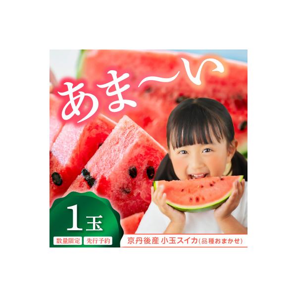 ■お礼品詳細　・配送種別：通常　・提供元：有限会社海祥■お申し込み・配送・その他　・発送時期：2026-07-01〜2026-07-31(お届け時間帯指定可)　・申込受付期間：〜2026-07-15　・配達外のエリア：離島、北海道、沖縄県　...