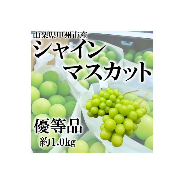 ■お礼品詳細　・配送種別：冷蔵便　・提供元：株式会社ハーネスト（甲州市）■お申し込み・配送・その他　・発送時期：2026-08-20〜2026-10-31(お届け時間帯指定可)　・申込受付期間：〜2026-09-15　・配達外のエリア：離島...