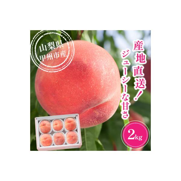 ■お礼品詳細　・配送種別：冷蔵便　・提供元：株式会社ヴァインヤード（甲州市）■お申し込み・配送・その他　・発送時期：2026-07-01〜2026-07-31(お届け時間帯指定可)　・申込受付期間：〜2026-07-20　・配達外のエリア：...