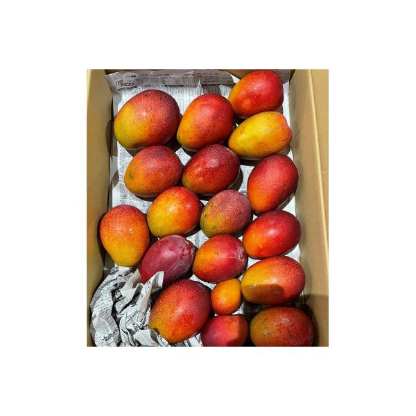 ■お礼品詳細　・配送種別：冷蔵便　・提供元：株式会社ユウエス（宮崎市）■お申し込み・配送・その他　・発送時期：2026-05-01〜2026-07-31(お届け時間帯指定可)　・申込受付期間：〜2026-06-30　・配達外のエリア：離島　...