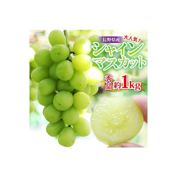 ■お礼品詳細　・配送種別：冷蔵便　・提供元：山下屋荘介（飯田市）■お申し込み・配送・その他　・発送時期：2026-09-25〜2026-11-06(お届け時間帯指定可)　・申込受付期間：2025-12-01〜2026-03-31　・配達外の...