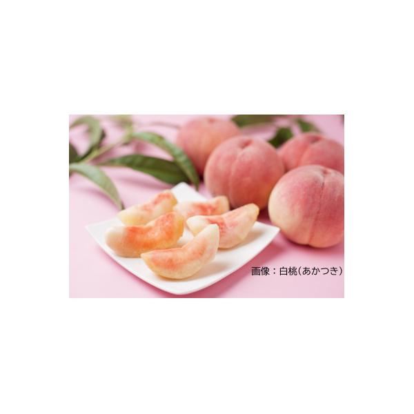 ■お礼品詳細　・配送種別：冷蔵便　・提供元：農業生産法人　種まきうさぎ株式会社■お申し込み・配送・その他　・発送時期：2026-07-07〜2026-09-15(お届け時間帯指定可)　・申込受付期間：〜2026-08-23　・配達外のエリア...