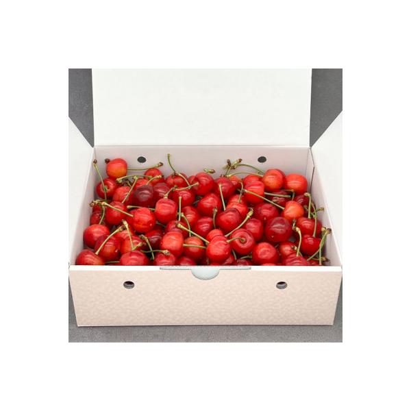 ■お礼品詳細　・配送種別：冷蔵便　・提供元：株式会社岩原果樹園■お申し込み・配送・その他　・発送時期：2026-06-15〜2026-07-10(お届け時間帯指定可)　・申込受付期間：〜2026-06-25　・配達外のエリア：離島、北海道、...