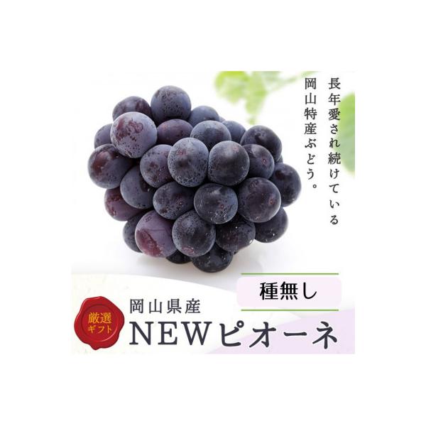 ■お礼品詳細　・配送種別：冷蔵便　・提供元：株式会社山博（岡田青果）（井原市）■お申し込み・配送・その他　・発送時期：2026-08-21〜2026-10-08(お届け時間帯指定可)　・申込受付期間：〜2026-09-30　・配達外のエリア...