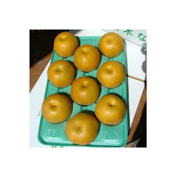 ■お礼品詳細　・配送種別：通常　・提供元：ことのみや果樹園■お申し込み・配送・その他　・発送時期：2026-08-25〜2025-09-20(お届け時間帯指定可)　・申込受付期間：2026-01-15〜2026-09-10　・配達外のエリア...