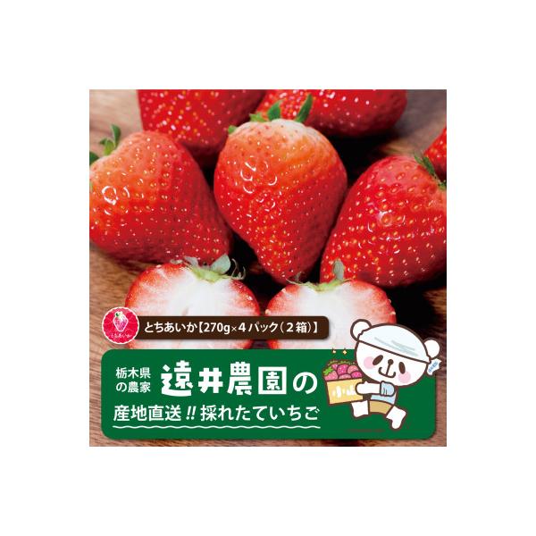 ■お礼品詳細　・配送種別：冷蔵便　・提供元：遠井農園■お申し込み・配送・その他　・発送時期：2025-12-10〜2026-03-31(お届け時間帯指定可)　・申込受付期間：2025-10-01〜2026-03-25　・配達外のエリア：離島...