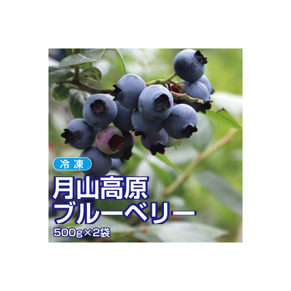 ■お礼品詳細　・配送種別：冷凍便　・提供元：庄内いーものや（ブルーベリー）■お申し込み・配送・その他　・発送時期：2026-01-22より順次発送 ※生産・天候・交通等の事情により遅れる場合があります。(お届け時間帯指定可)　・申込受付期間...