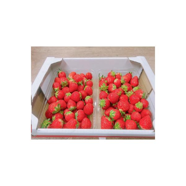 ■お礼品詳細　・配送種別：冷蔵便　・提供元：株式会社五色青果（東かがわ市）■お申し込み・配送・その他　・発送時期：2026-03-16〜2026-06-20　・申込受付期間：〜2026-05-31　・配達外のエリア：離島、北海道、沖縄県　・...