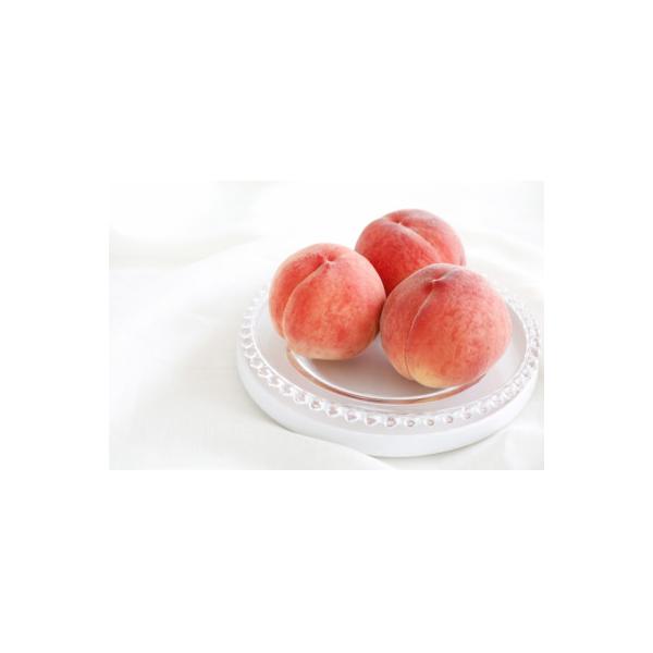 ■お礼品詳細　・配送種別：冷蔵便　・提供元：株式会社センドイット■お申し込み・配送・その他　・発送時期：2026-07-15〜2026-08-31(お届け時間帯指定可)　・申込受付期間：2025-09-01〜2026-08-15　・配達外の...